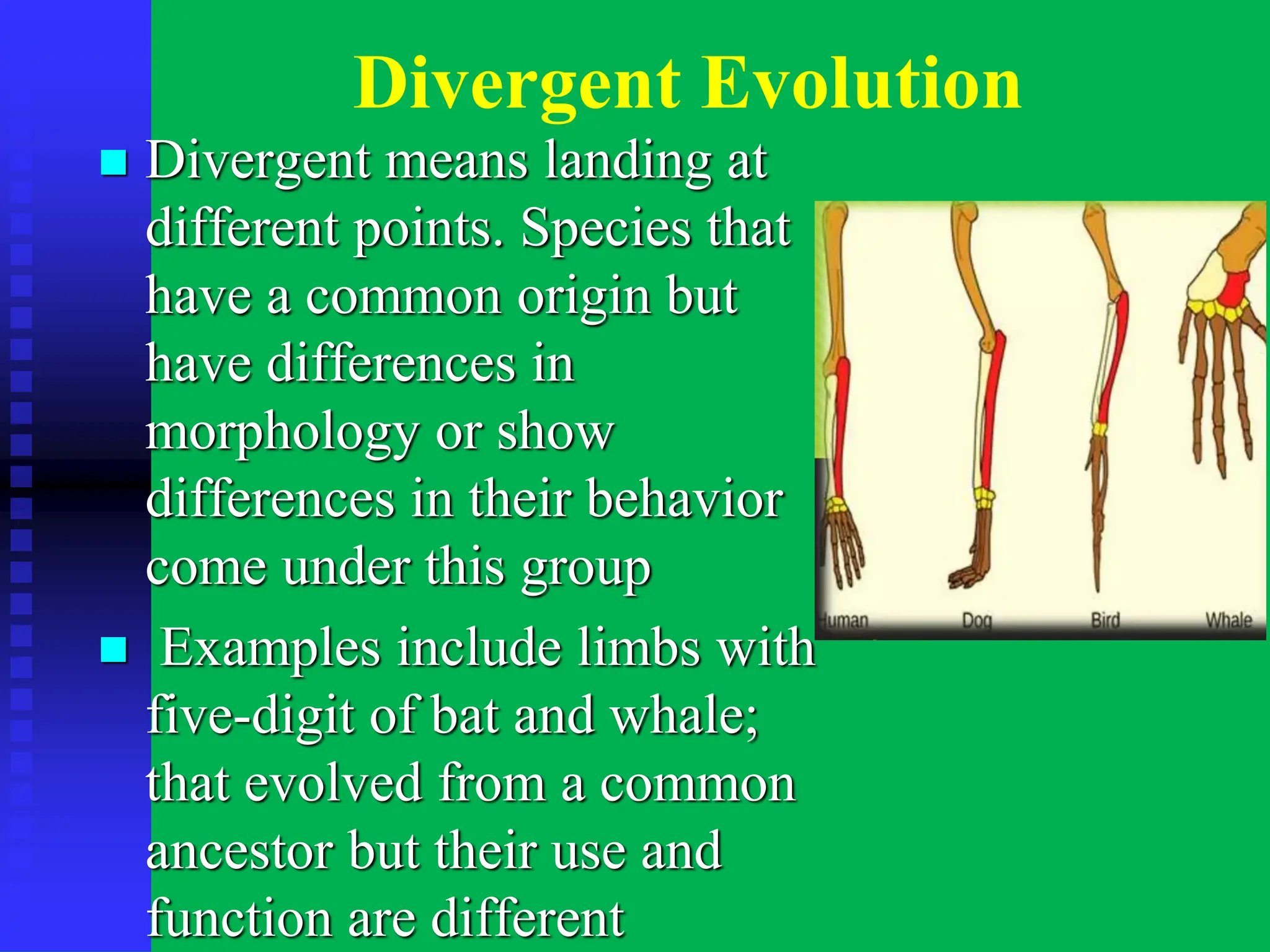 9. patterns of evolution- Charles Darwin.pdf