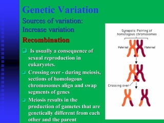 9. patterns of evolution- Charles Darwin.pdf
