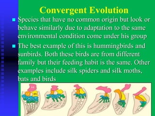 9. patterns of evolution- Charles Darwin.pdf