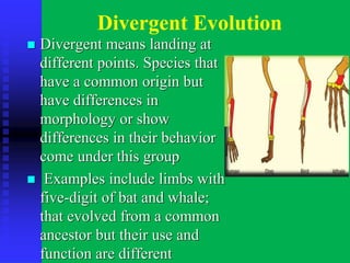 9. patterns of evolution- Charles Darwin.pdf