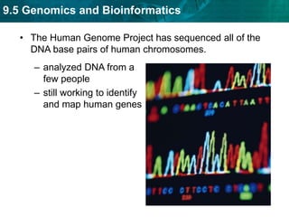 Genomics and Bioinformatics basics from genome to phenome | PPT