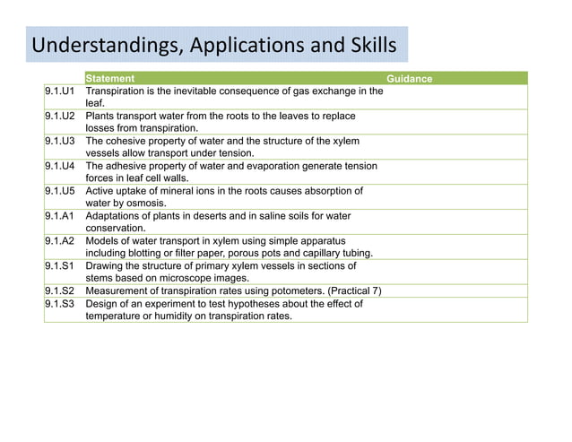 Xylem Transport in Plants - IBDP Biology | PDF