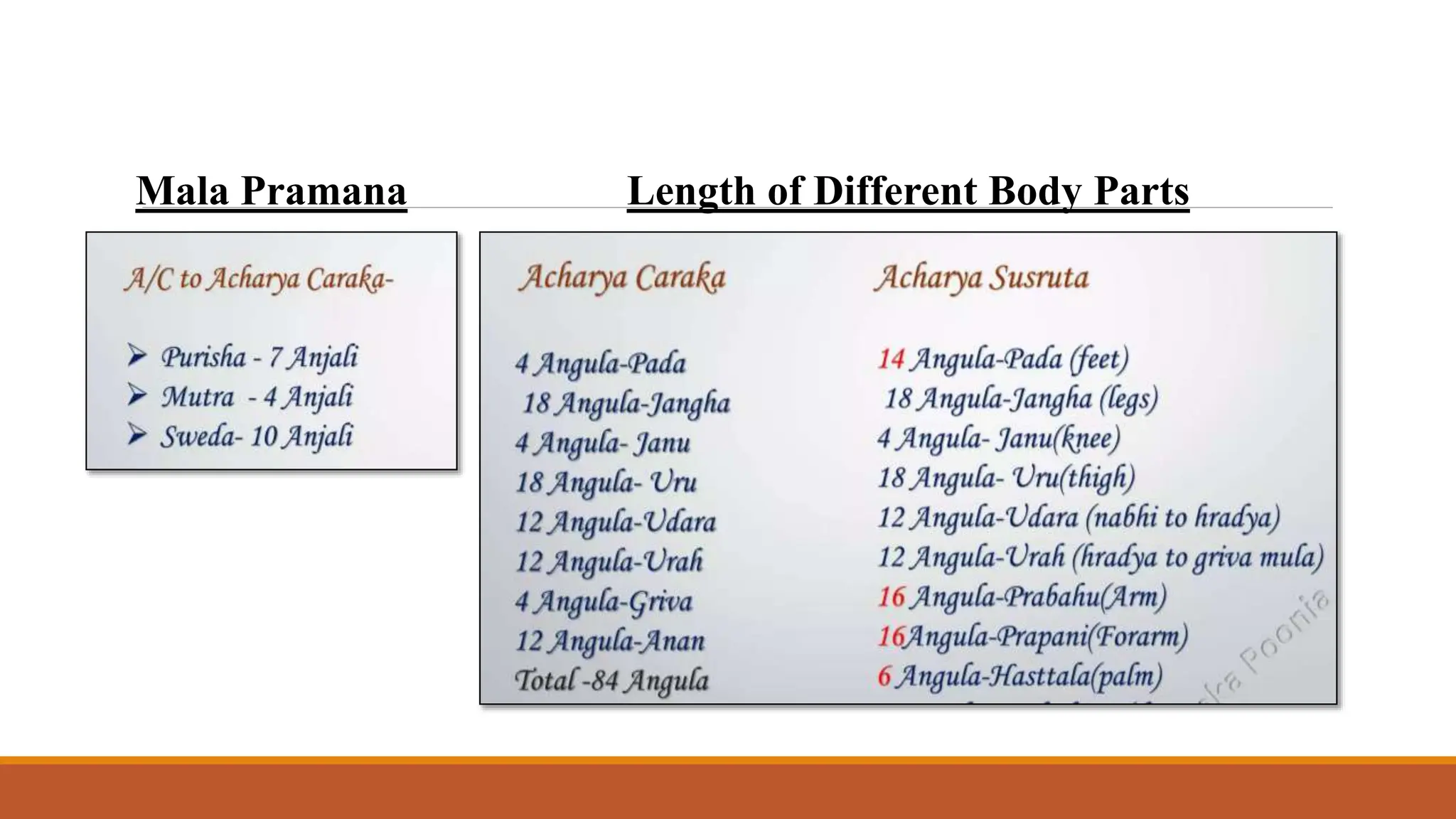 PRAMANA SHAARERA OF SHAREERA RACHANA BY DR AJITH KUMAR | PPTX