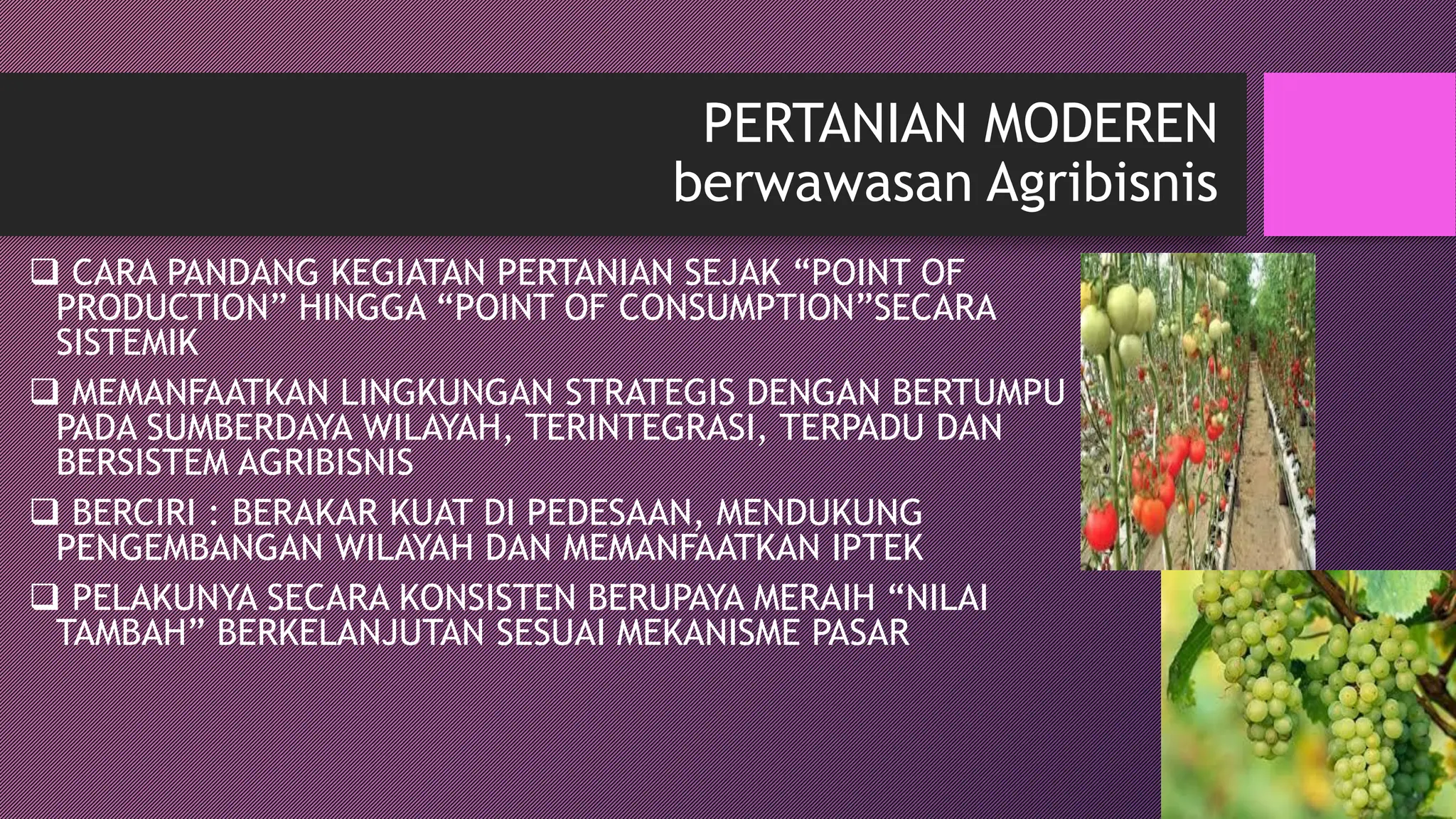 Strategi Pengembangan Agribisnis di Indonesia | PDF