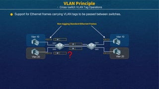 9.VLAN+Principle - Network - ruijie.pdf ( | PDF