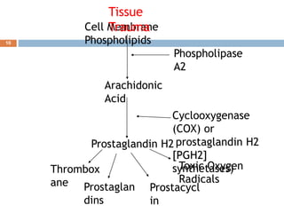 9. NSAIDS.pptxNSAIDS inhibit the enzyme cyclooxygenase (COX) types 1 ...