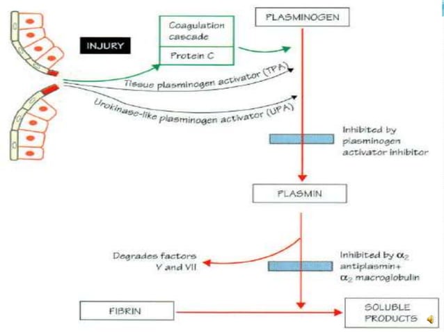 9. inhitor of coagulation blood hemostasis.pptx
