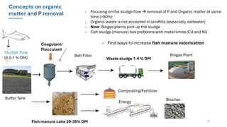 End of pipe treatment: Unlocking the potential of RAS waste - Carlos ...