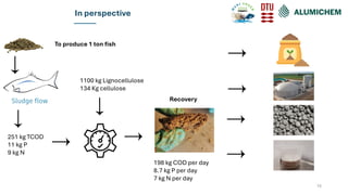 End of pipe treatment: Unlocking the potential of RAS waste - Carlos ...