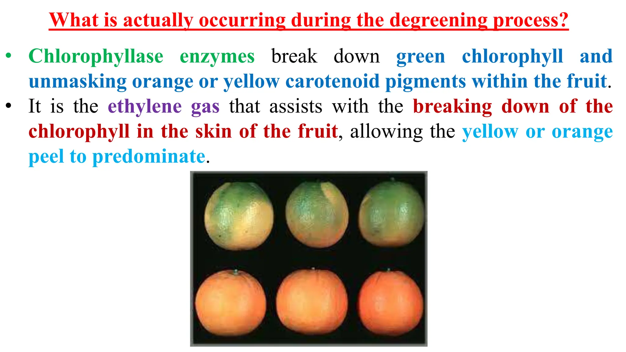 9. Curing and degreening of fruits and vegetables.pptx