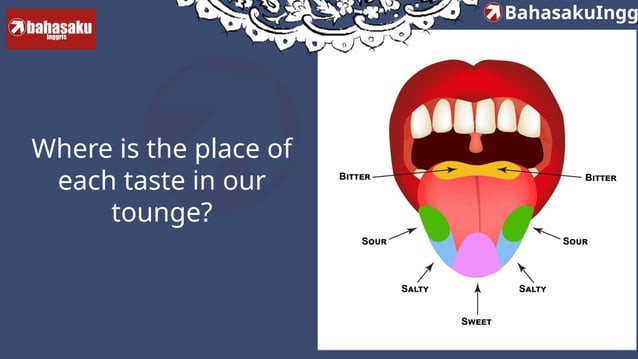 EFK2 TASTE. ENGLISH LESSON ABOUT TASTES AND FLAVOUR | PPT