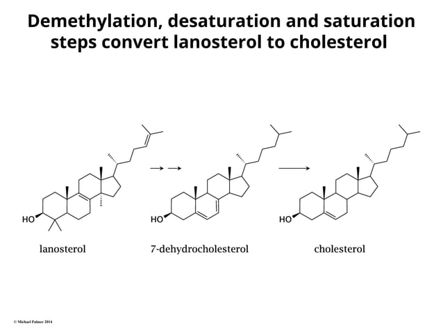9. CHOLESTEROL biochemistry of biomolecules lipids cholesterol.ppt