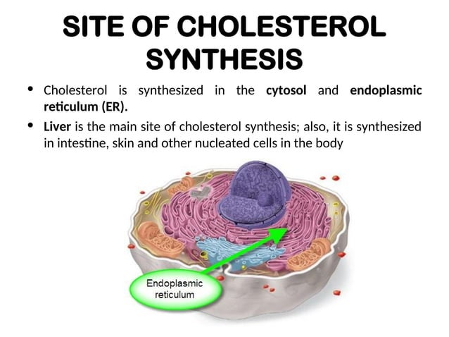 9. CHOLESTEROL biochemistry of biomolecules lipids cholesterol.ppt