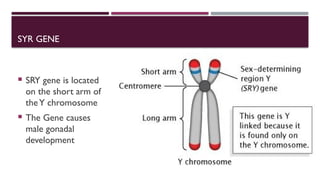 9.3 Transcription factors significant in development.pptx