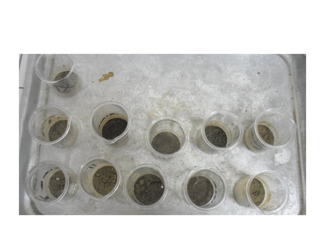 Materi Kuliah Sedimentasi MK Oseanografi | PPT