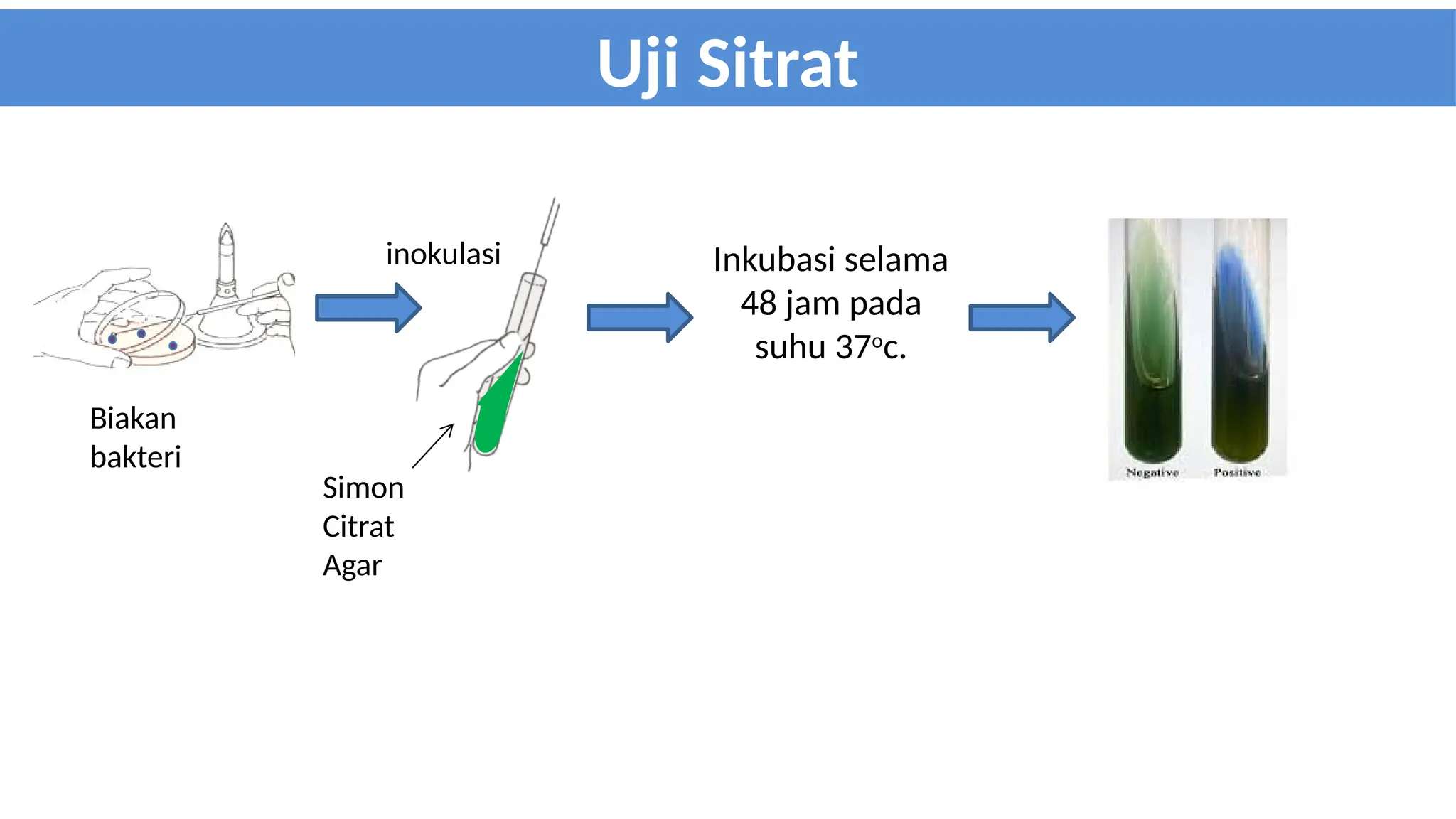 9. UJI IMVIC, uji biokimia untuk identifiksi mikroba.pptx