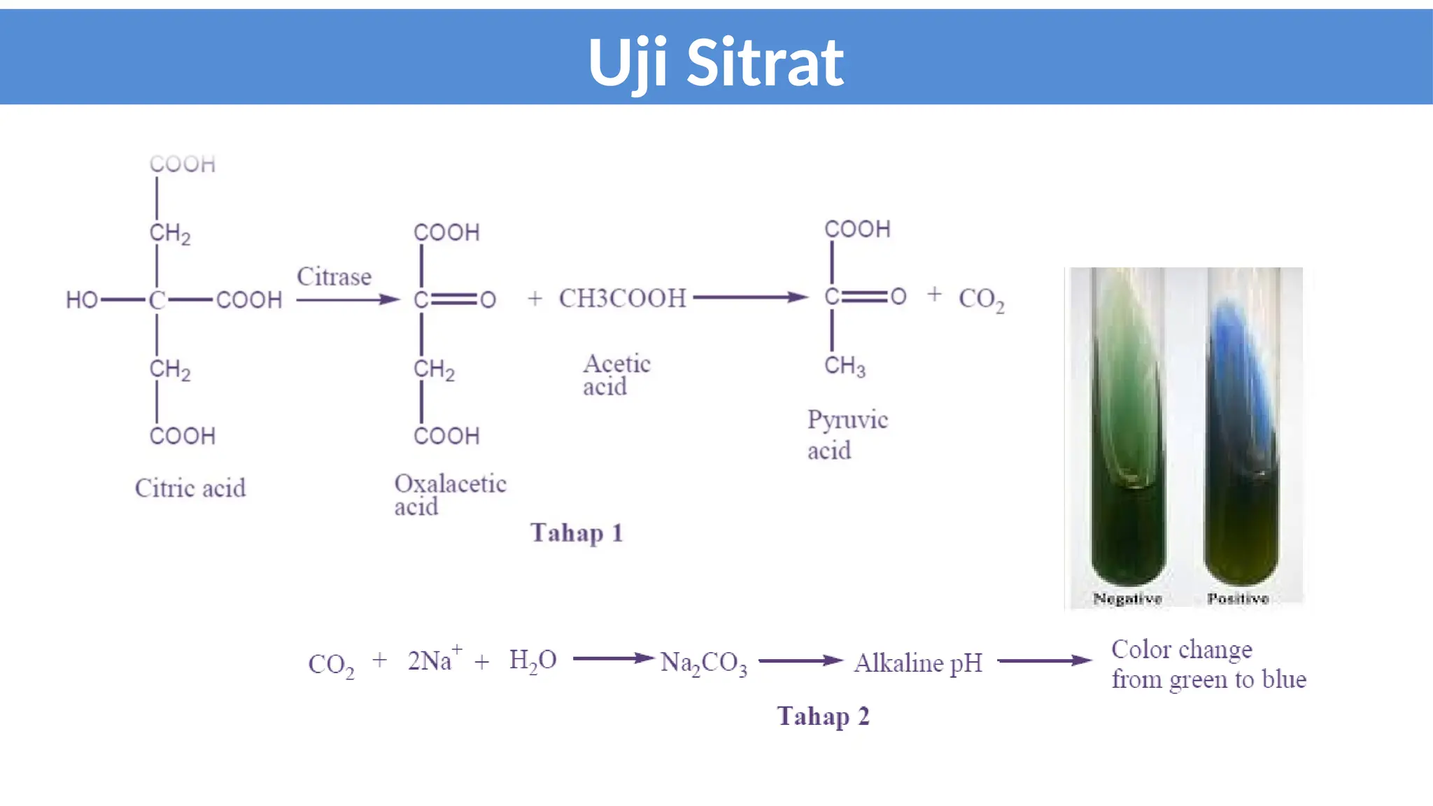 9. UJI IMVIC, uji biokimia untuk identifiksi mikroba.pptx