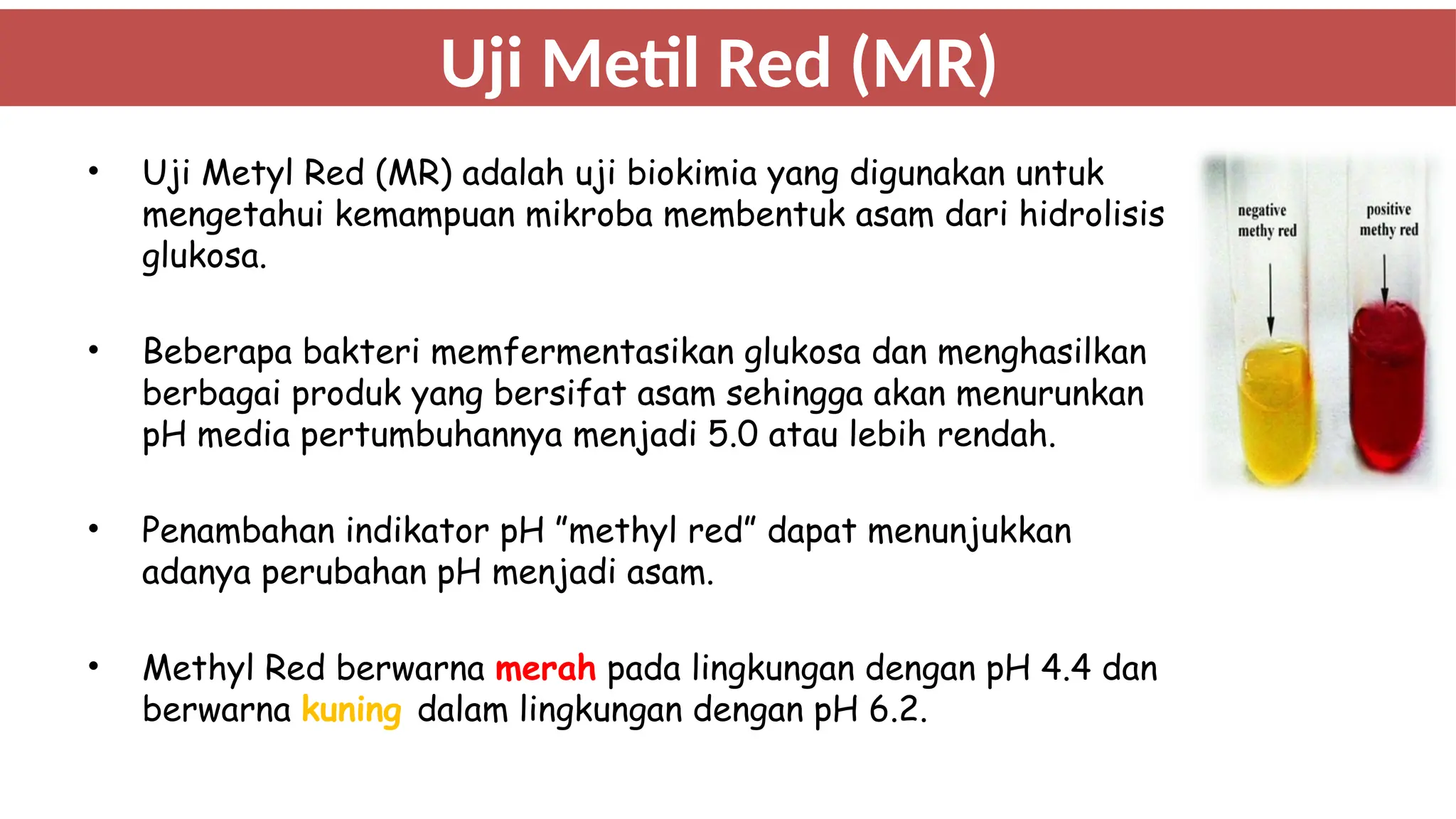 9. UJI IMVIC, uji biokimia untuk identifiksi mikroba.pptx