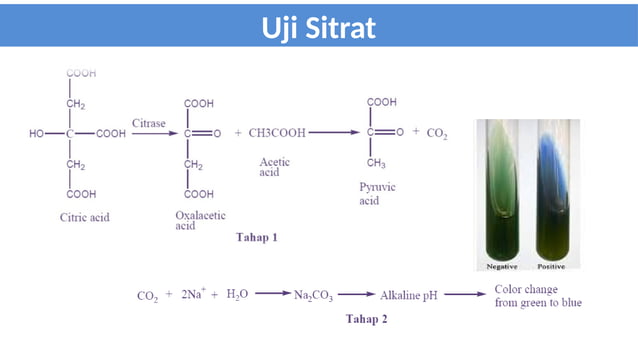 9. UJI IMVIC, uji biokimia untuk identifiksi mikroba.pptx
