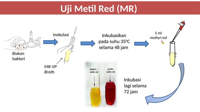9. UJI IMVIC, uji biokimia untuk identifiksi mikroba.pptx