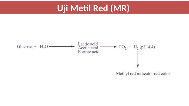 9. UJI IMVIC, uji biokimia untuk identifiksi mikroba.pptx