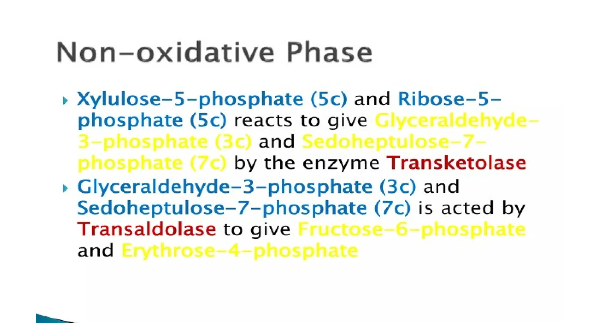 DPT - Biochemistry & Genetics - II (Metabolism of Carbohydrates ...