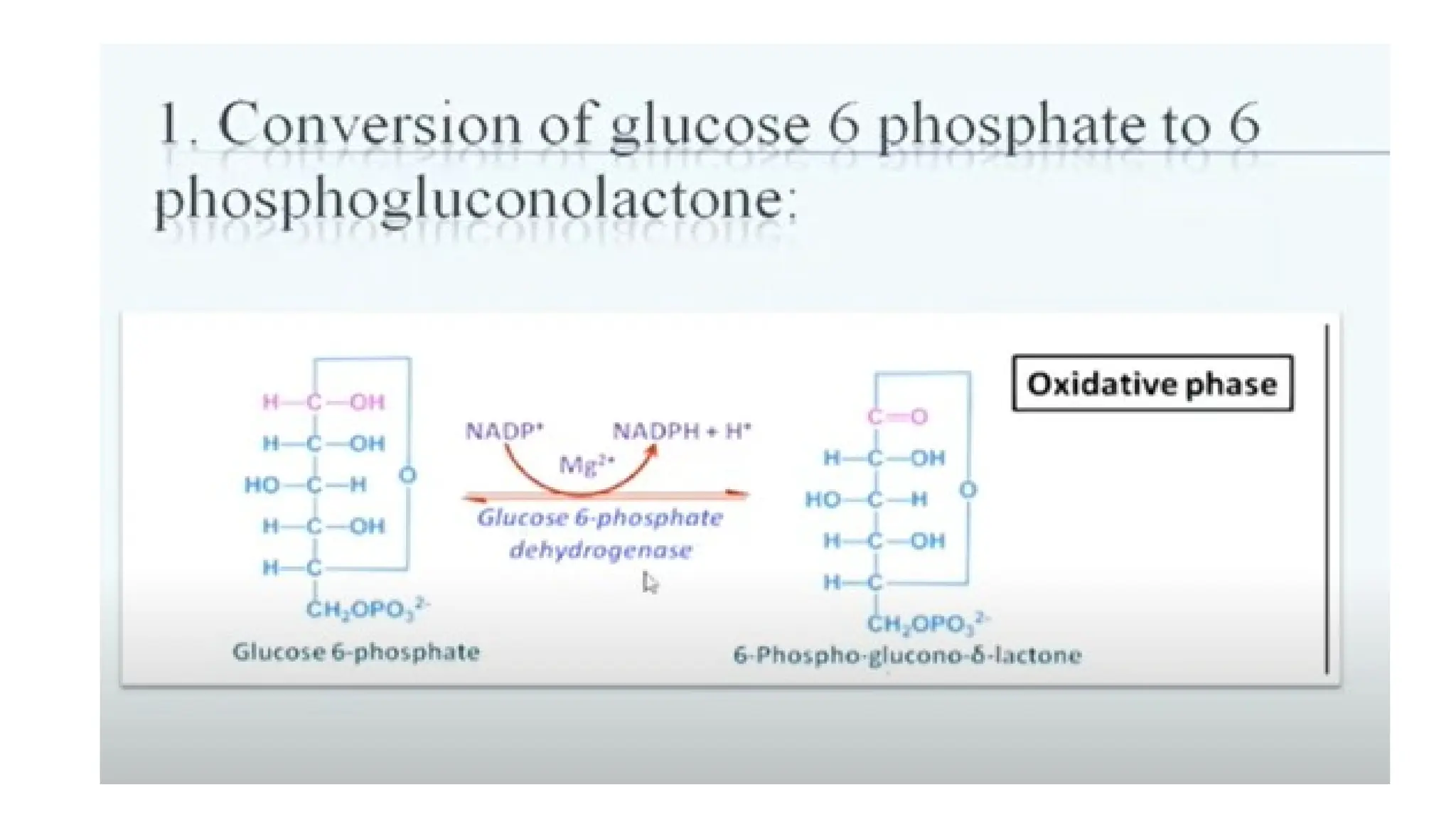 DPT - Biochemistry & Genetics - II (Metabolism of Carbohydrates ...
