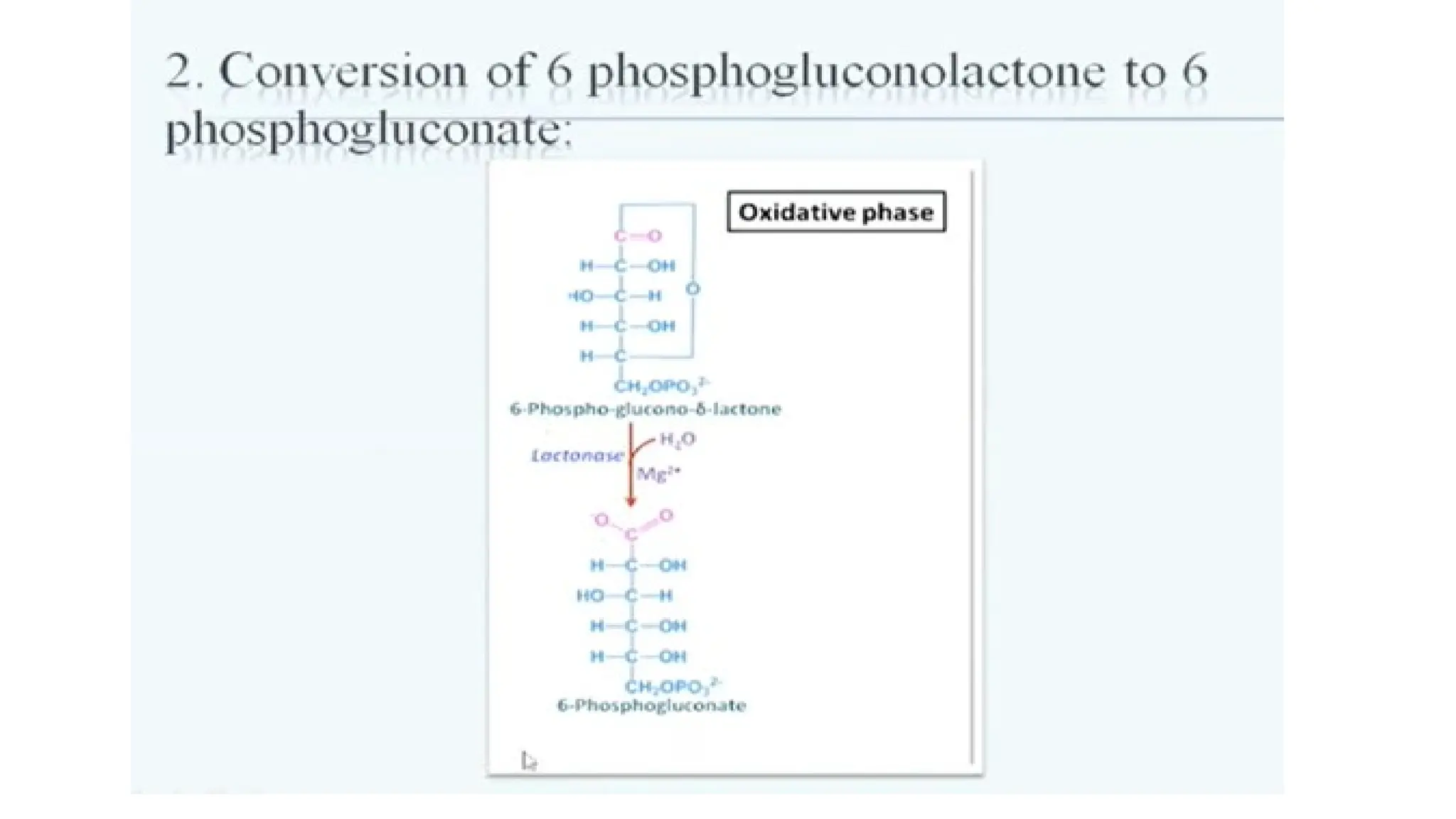 DPT - Biochemistry & Genetics - II (Metabolism of Carbohydrates ...