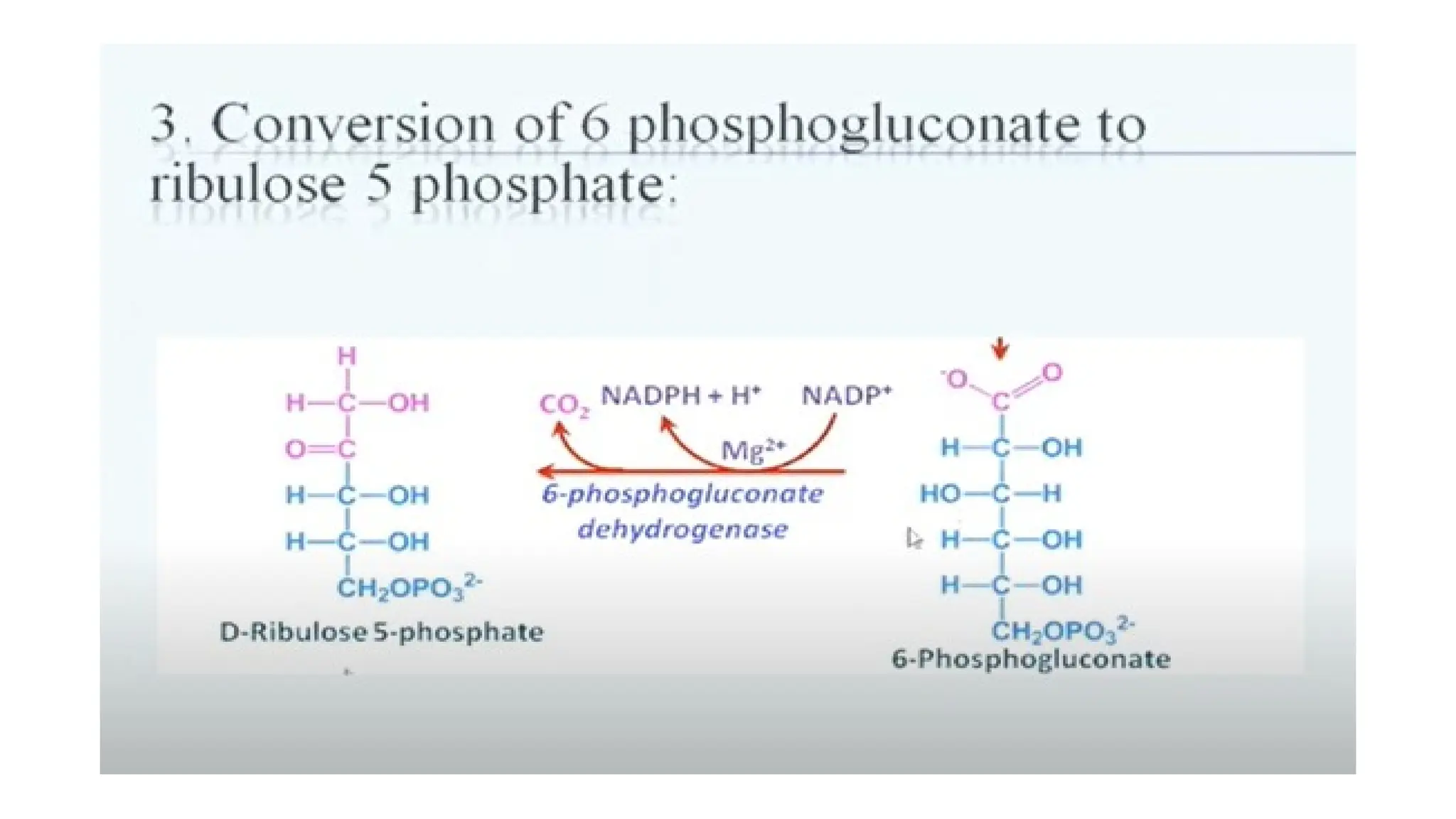 DPT - Biochemistry & Genetics - II (Metabolism of Carbohydrates ...
