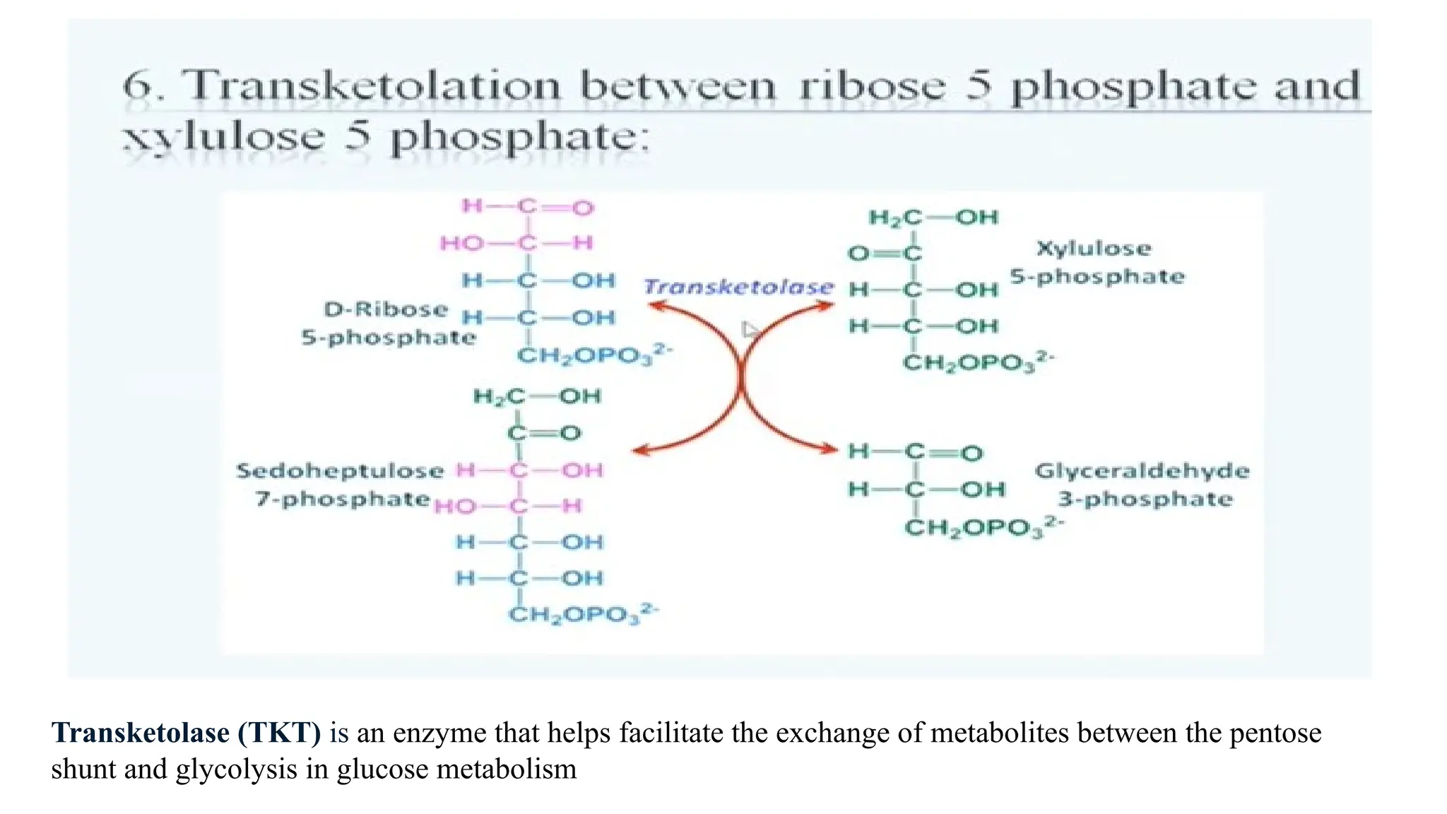 DPT - Biochemistry & Genetics - II (Metabolism of Carbohydrates ...