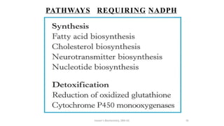 DPT - Biochemistry & Genetics - II (Metabolism of Carbohydrates ...