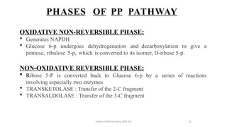DPT - Biochemistry & Genetics - II (Metabolism of Carbohydrates ...