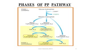 DPT - Biochemistry & Genetics - II (Metabolism of Carbohydrates ...