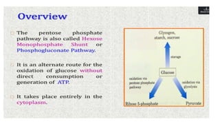 DPT - Biochemistry & Genetics - II (Metabolism of Carbohydrates ...
