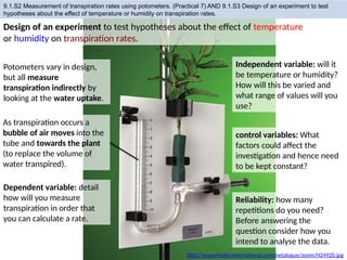 9.1 Transport in the xylem of plants AHL.pptx