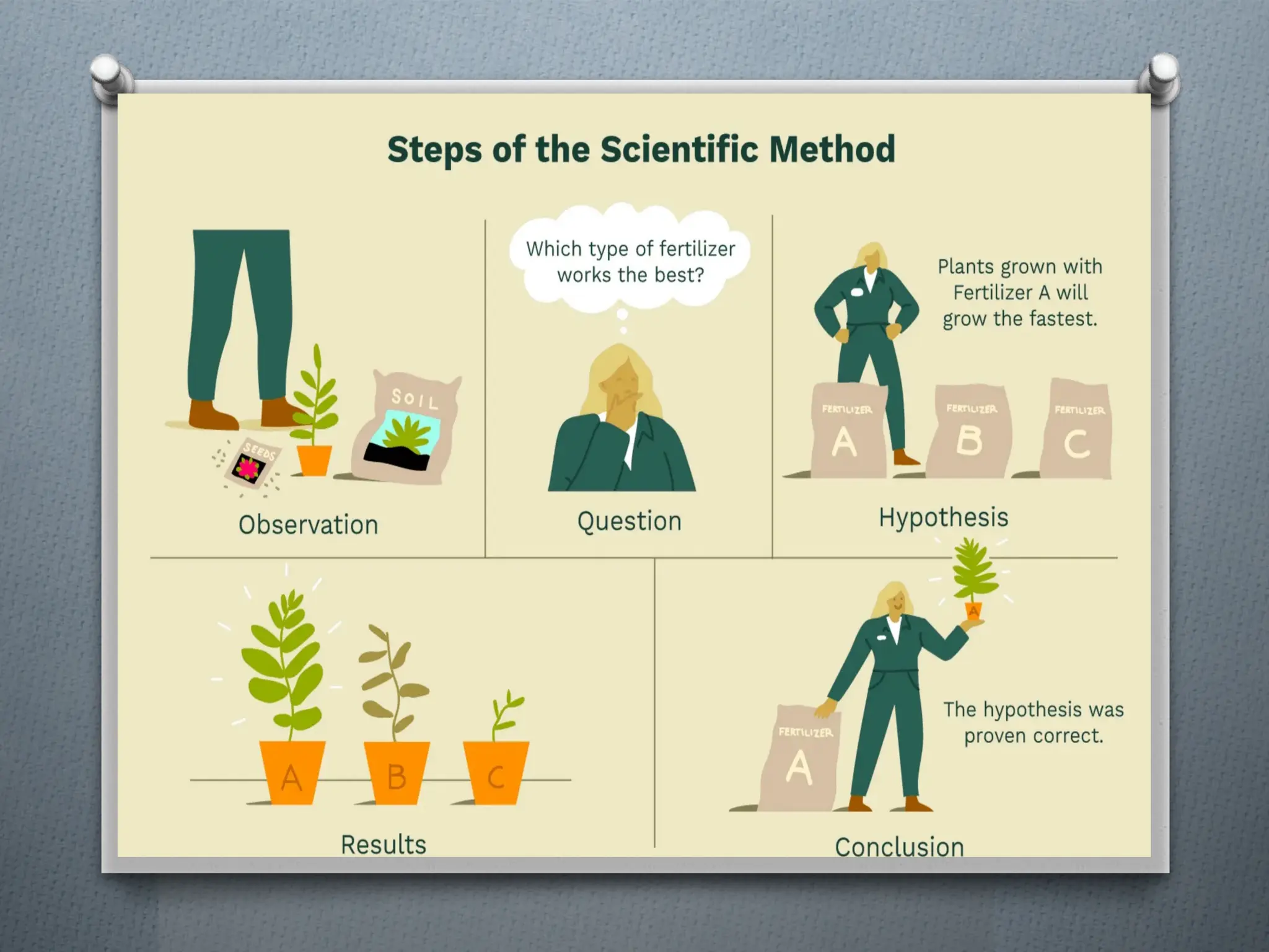 9. Scientific Method for Grade 7 students.pptx