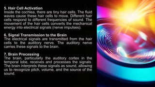 Grade_8. Sound Propagation_Parts of the Ear.pptx