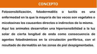 9. FOTOSENSIBILIZACIÓN.patología que ocurre cuando pigmentos ...