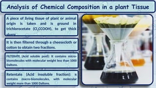 the body of all living organisms are made of molecules.ptx
