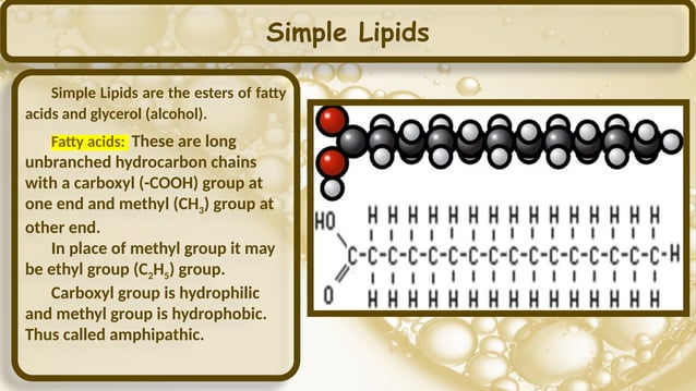 9.2 Lipids are energy rich compounds.pptx