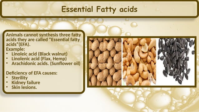 9.2 Lipids are energy rich compounds.pptx