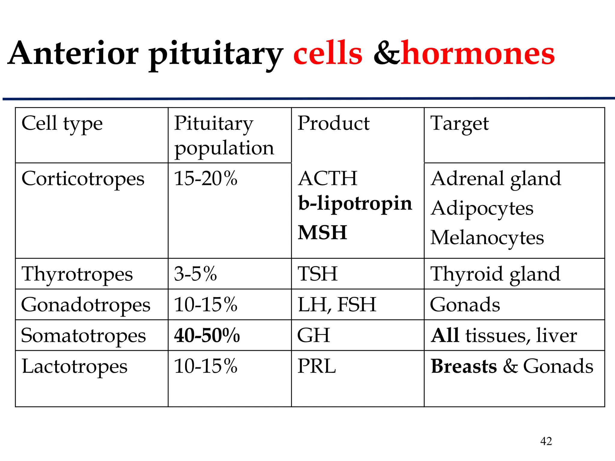 9. Endocrine system Physiology- class.pdf
