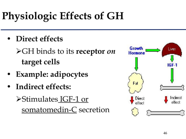 9. Endocrine system Physiology- class.pdf