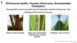 Pests of Coconut_Identification_IPM_Dr.UPR.pdf