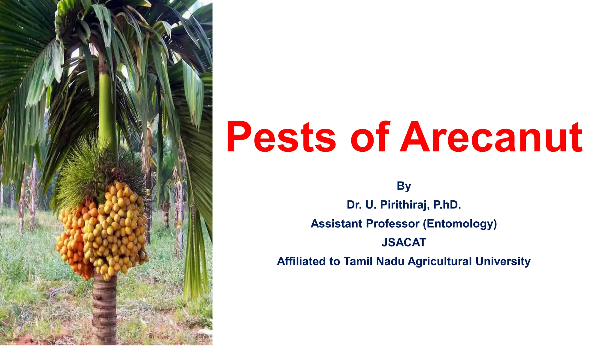 Pests of Arecanut_Bionomics_IPM_Dr.UPR.pdf