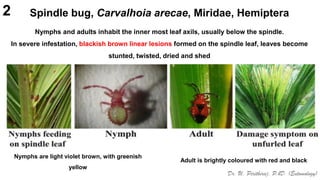 Pests of Arecanut_Bionomics_IPM_Dr.UPR.pdf