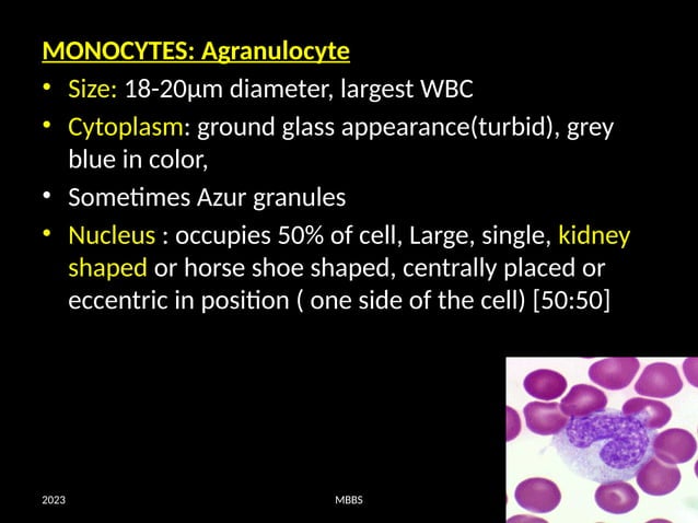 9. WBC Morphology, Variation, Leucopoiesis 2023.pptx