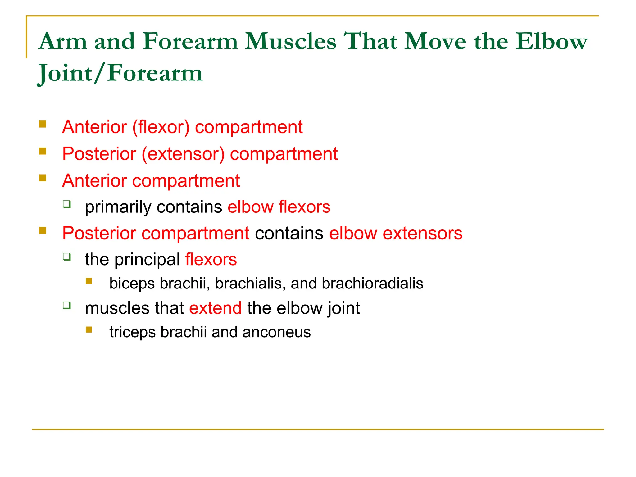 Anatomy of the upper limb muscles. .ppt