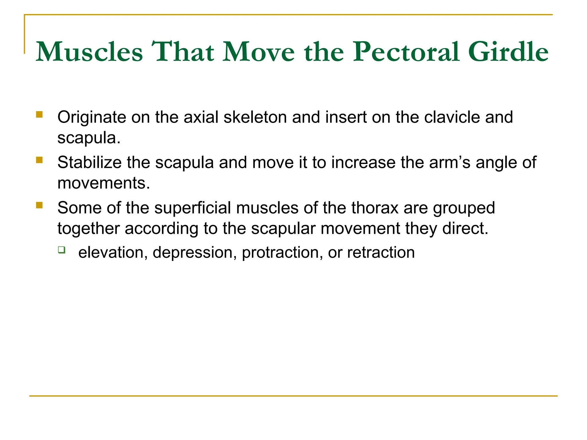 Anatomy of the upper limb muscles. .ppt