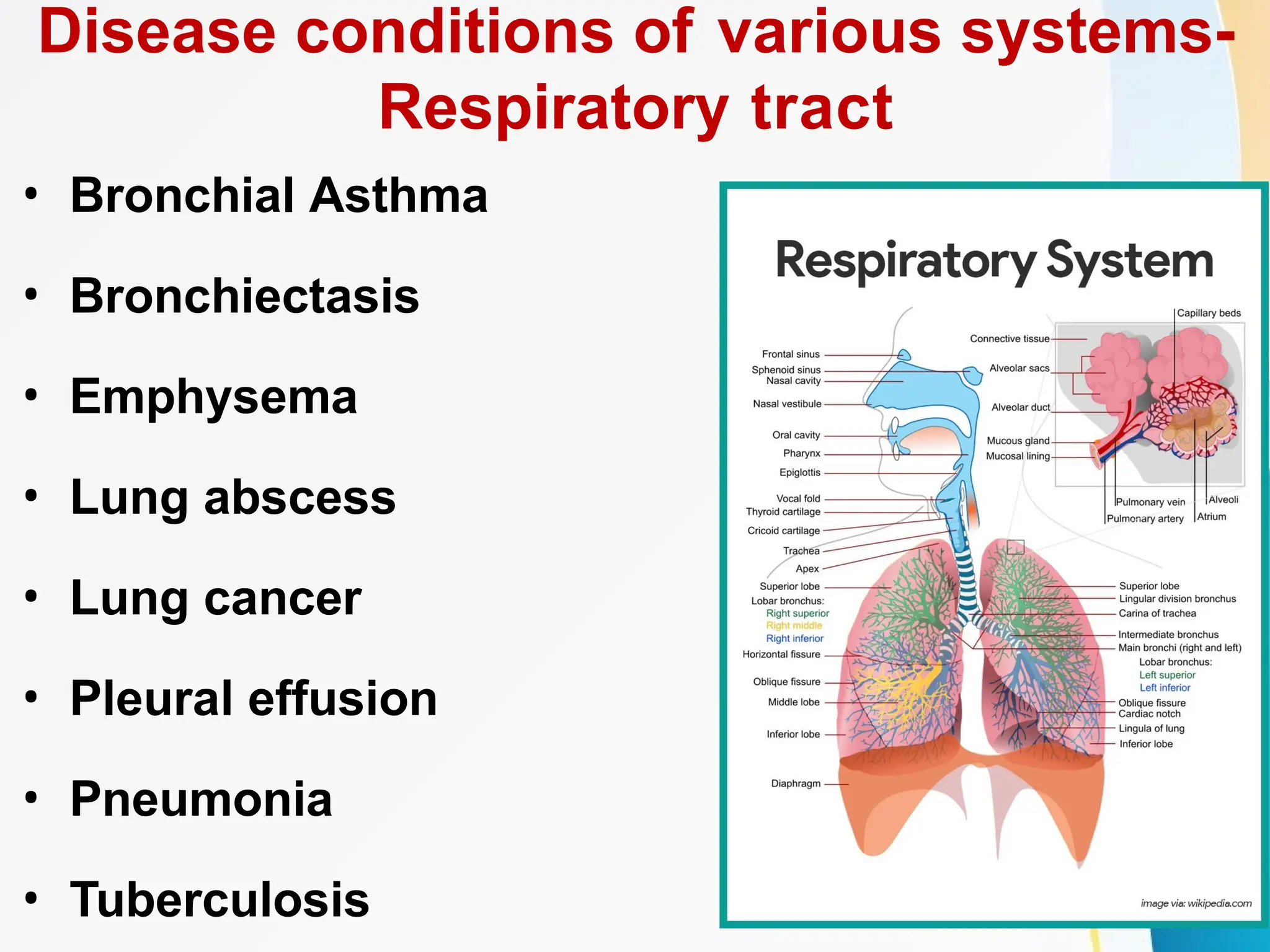 9. Respirtatory System Disease conditions of various systems ...